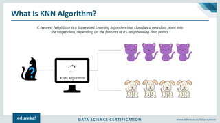 KNN Algorithm Using R | Edureka | PPT