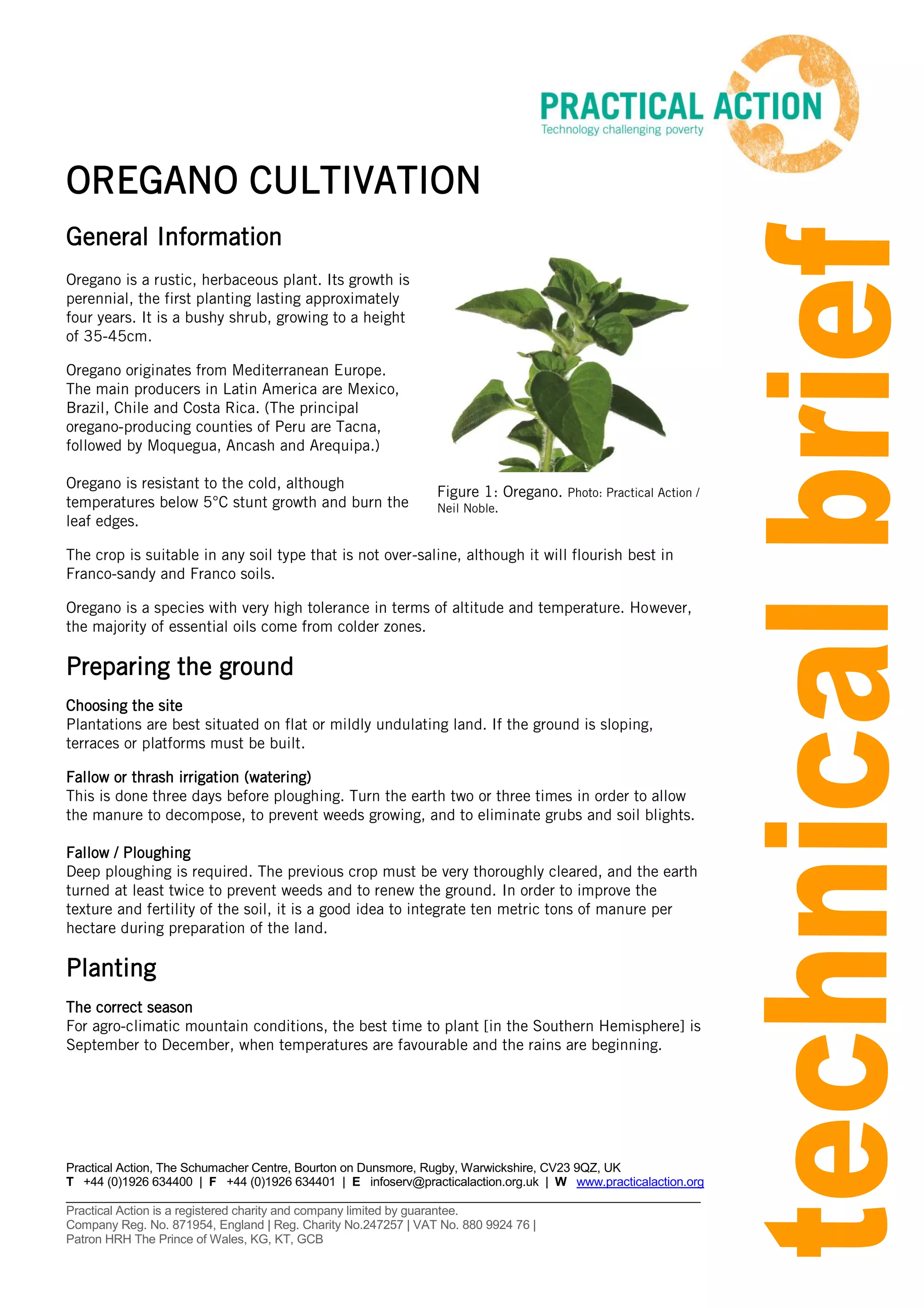 Kn o 100020-oregano cultivation | PDF