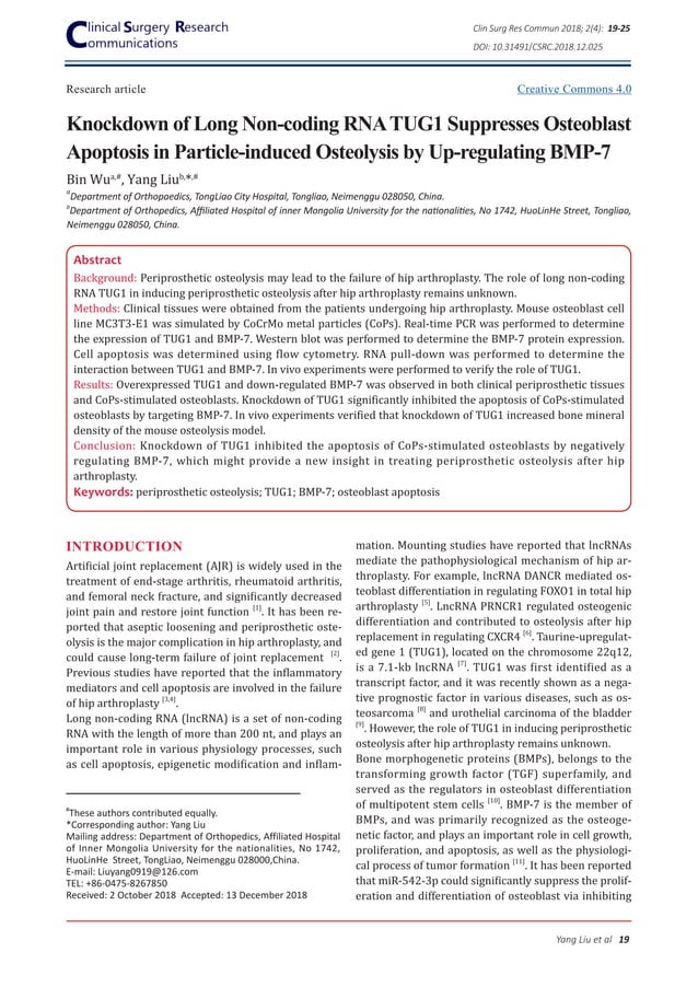 Knockdown of long non coding rna tug1 suppresses osteoblast apoptosis in particle-induced ...