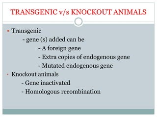 Knockout animals by lekhan | PPTX