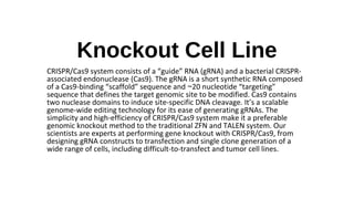 crispr cas9 knockout | PPT