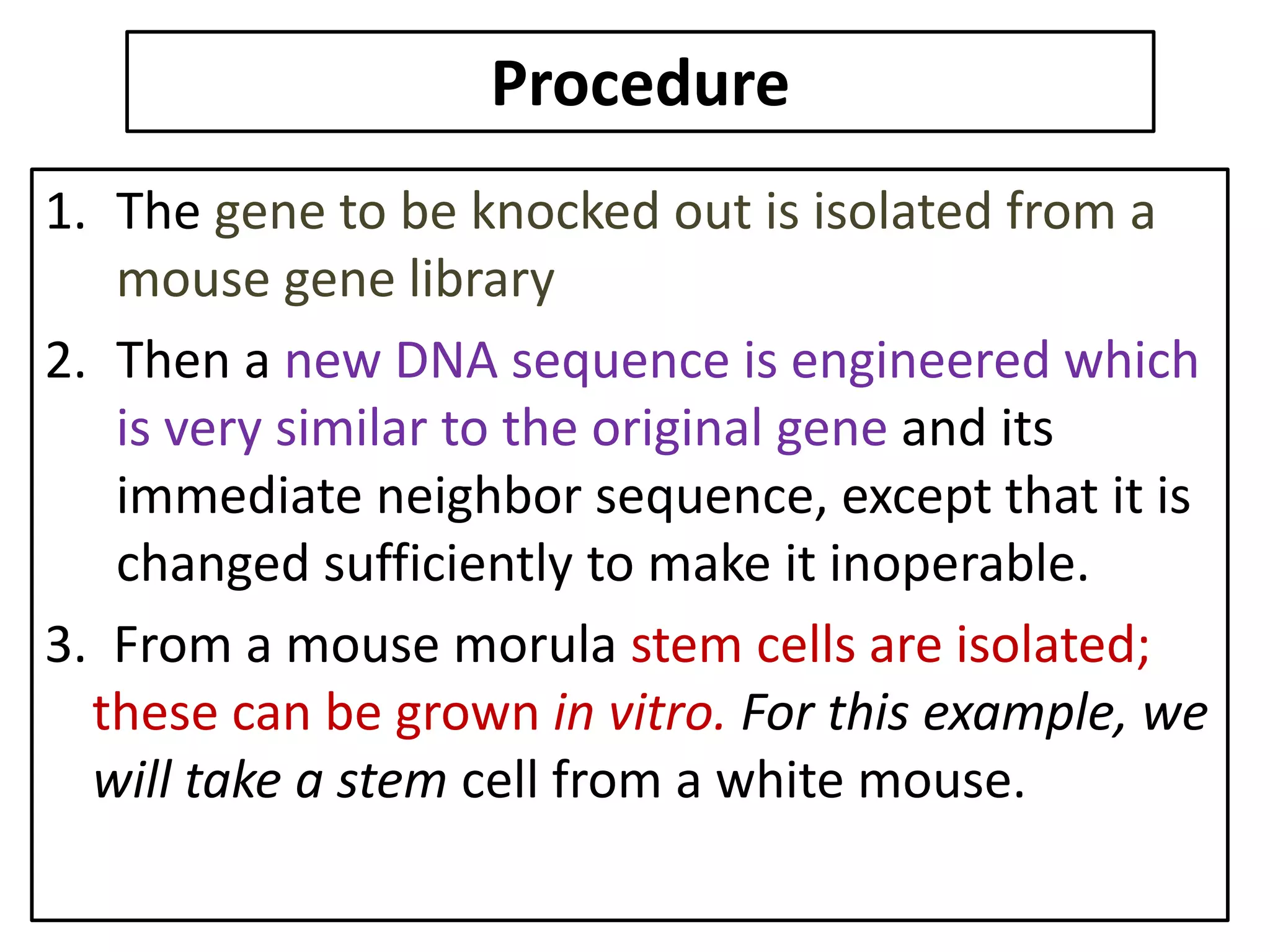 Knockout mice | PPTX