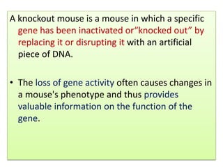 Knockout mice | PPTX