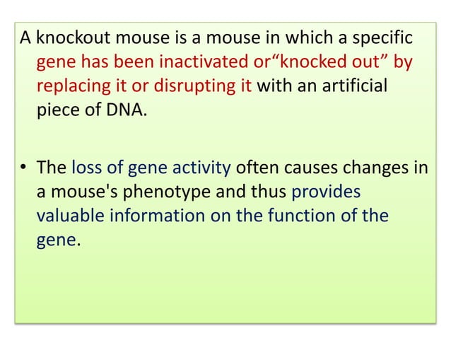 Knockout mice | PPTX