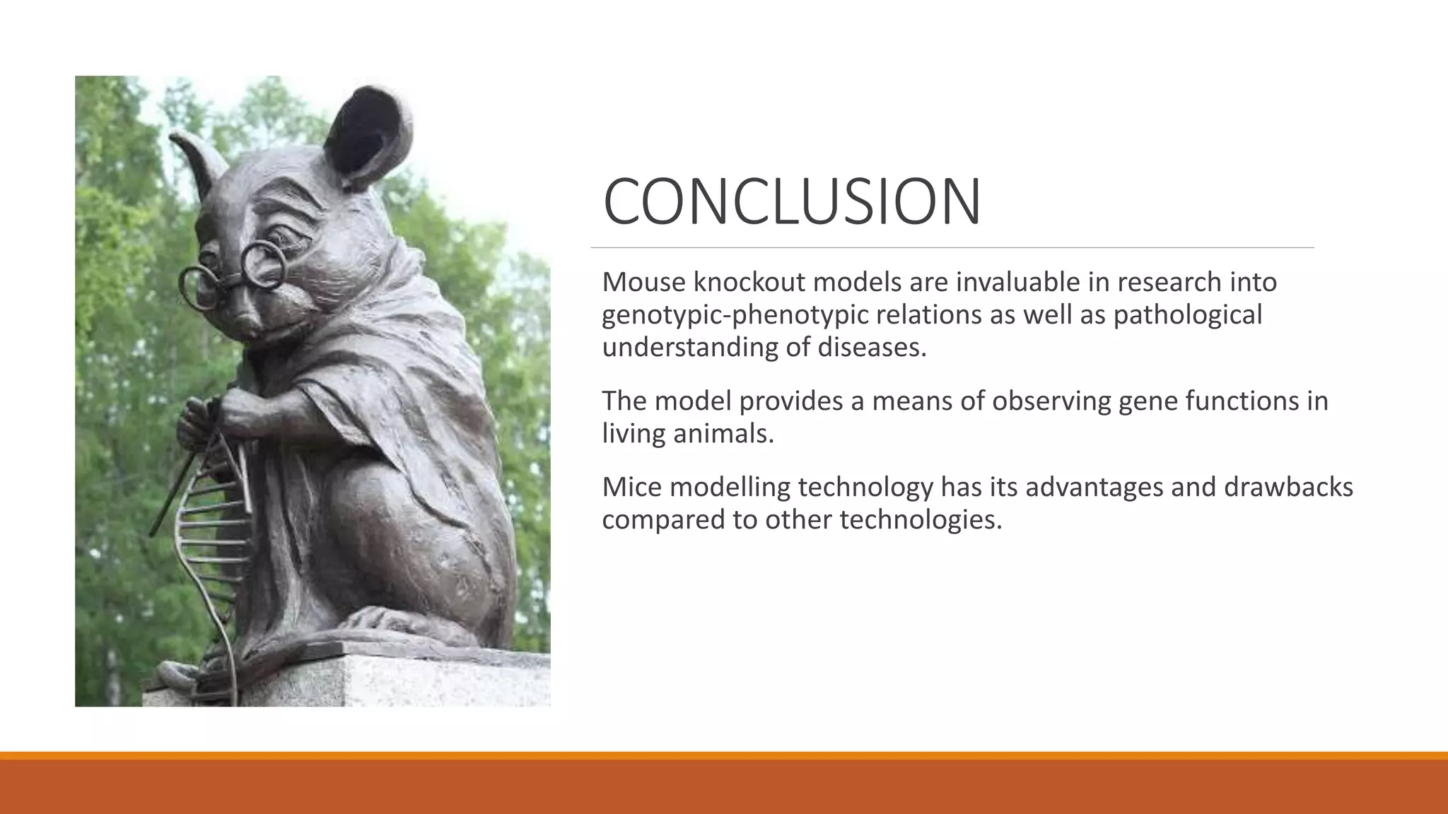 Knockout mice | PPTX