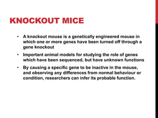 Knock out mice | PPTX | Biological Sciences | Science