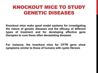 Knock out mice | PPTX