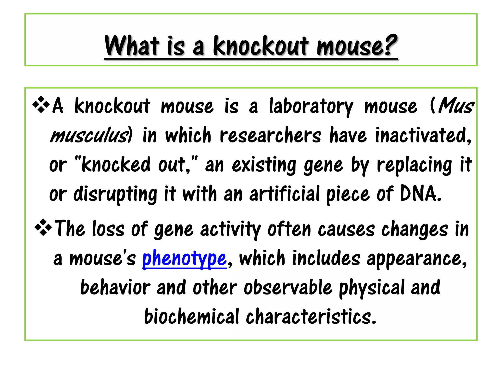 Knock out mice | PDF