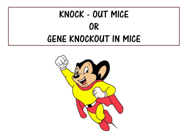 Knock out mice | PDF