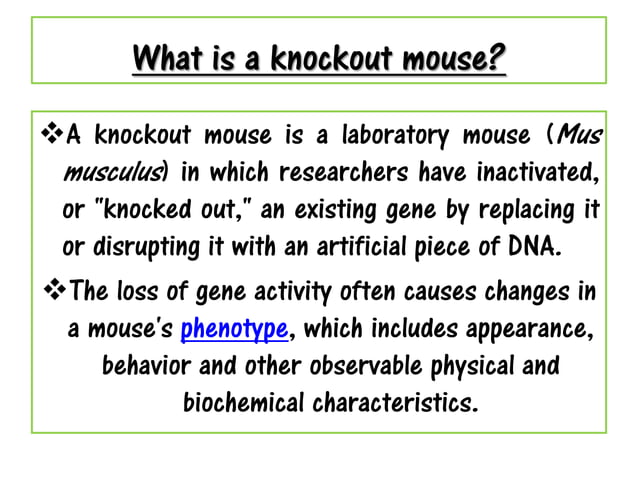 Knock out mice | PDF