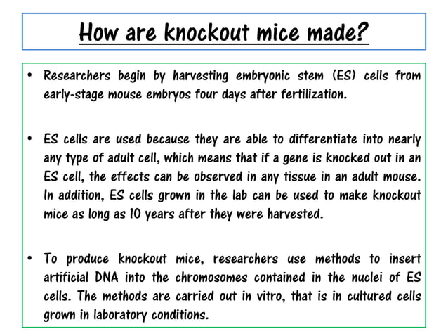 Knock out mice | PDF