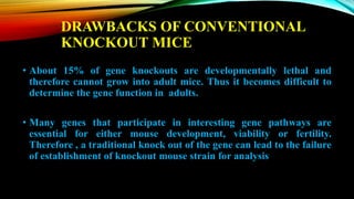 Knock out mice production and its applications | PPTX