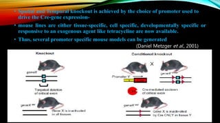 Knock out mice production and its applications | PPTX | Genetics | Science