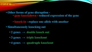 Knock out mice production and its applications | PPTX