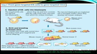 Knock out mice production and its applications | PPTX
