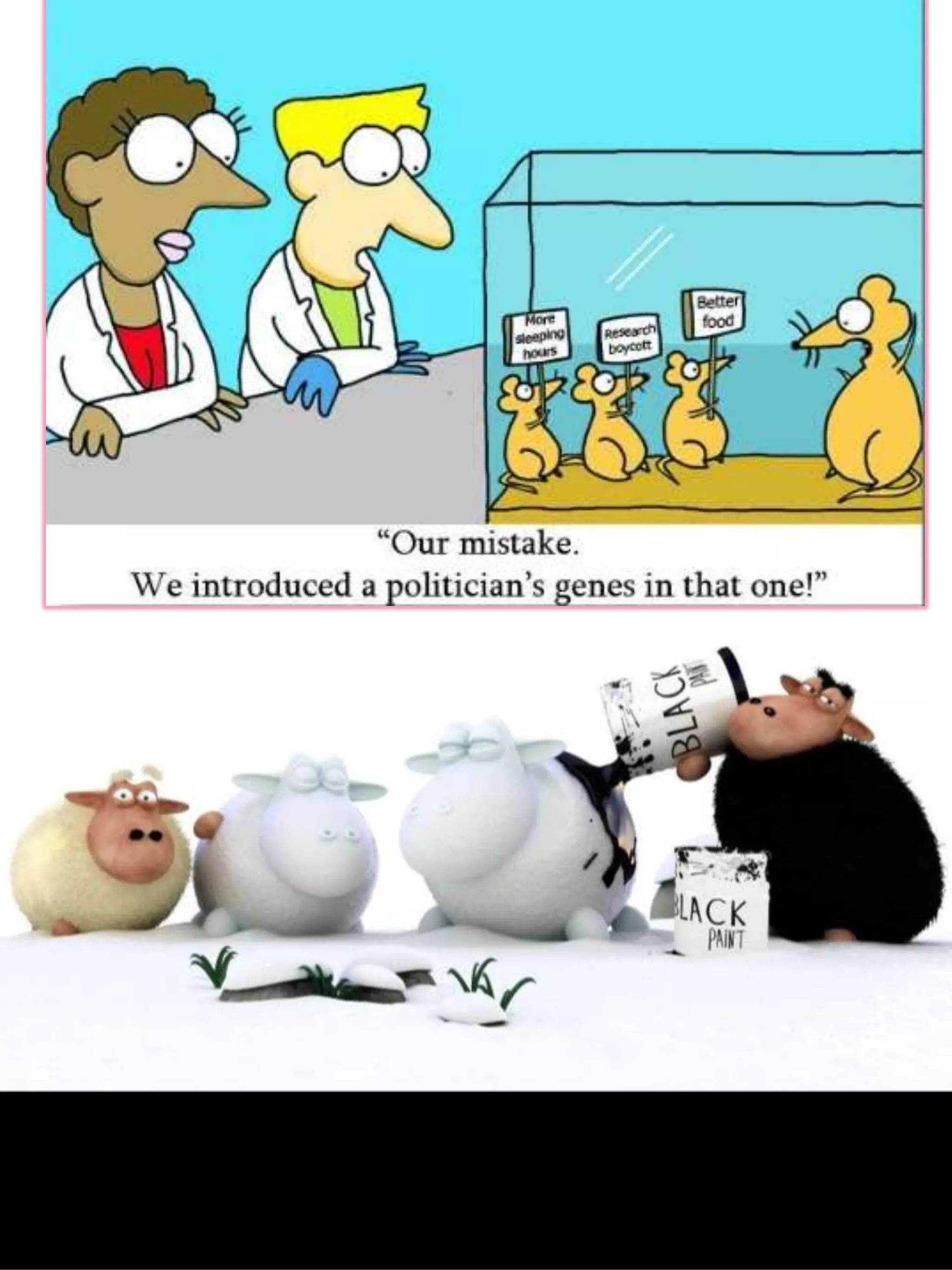 Transgenic Animal (KNOCKOUT MOUSE) production and Application | PPTX