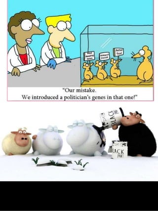 Transgenic Animal (KNOCKOUT MOUSE) production and Application | PPTX