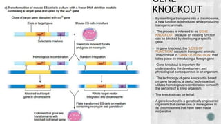 Knockout mouse for allergy | PPTX