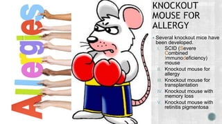 Knockout mouse for allergy | PPTX