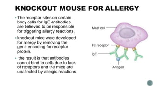 Knockout mouse for allergy | PPTX