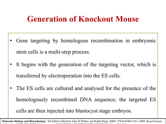 Knock out technology (final) | PPTX | Biological Sciences | Science