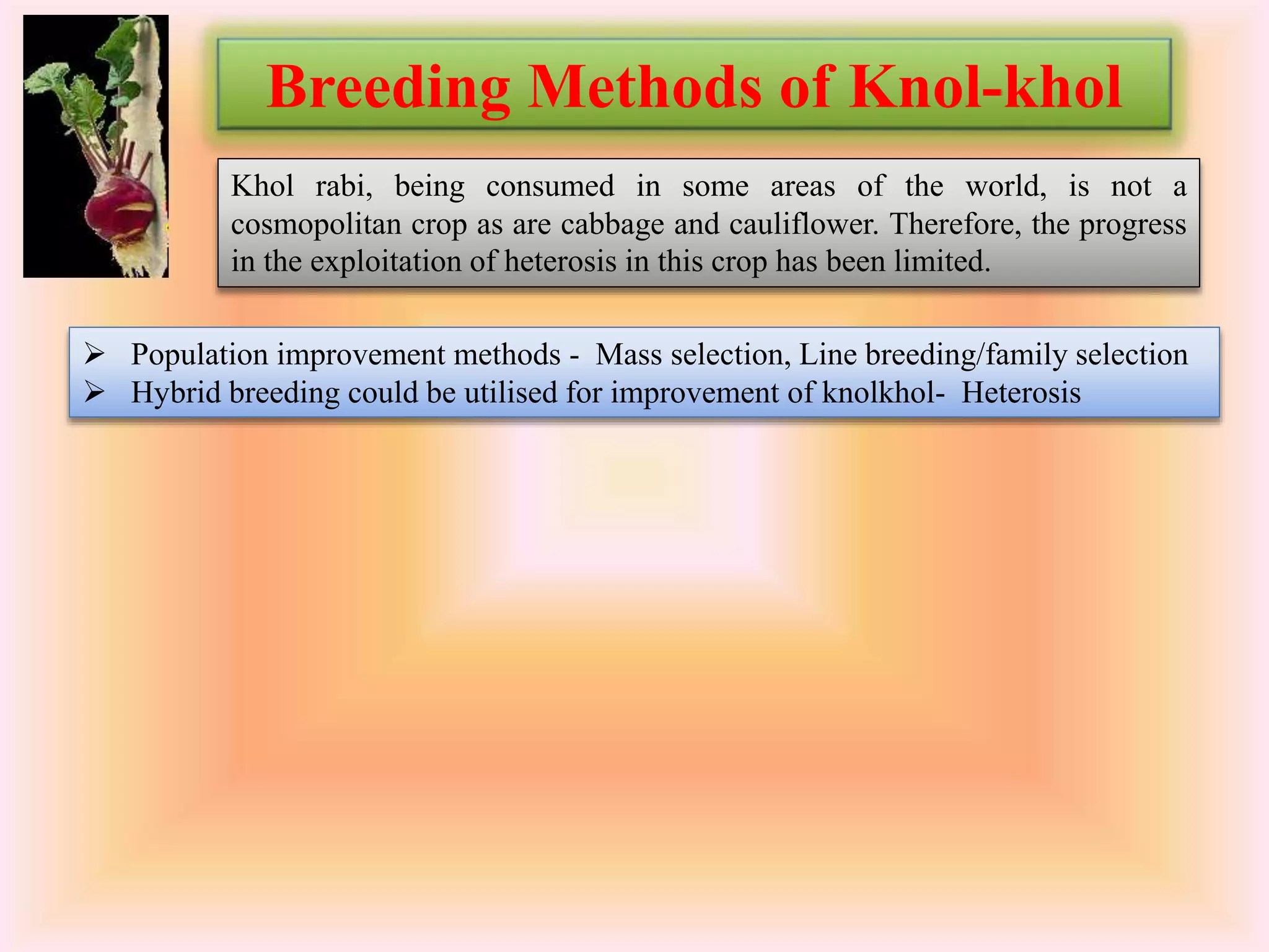 Knol khol | PPTX