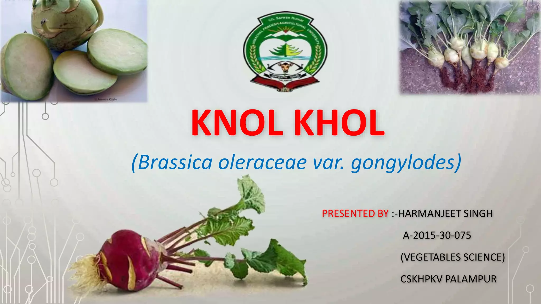 Knol khol by harmanjeet | PPTX