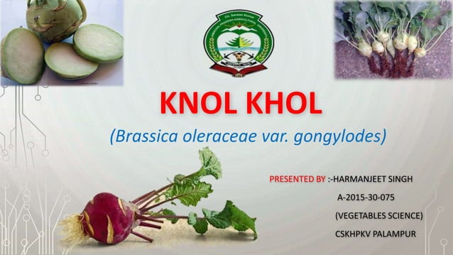 Knol khol by harmanjeet | PPTX | Agriculture | Industries