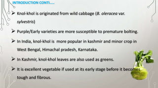 Knol khol by harmanjeet | PPTX