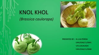 Knol khol | PPTX