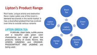 Knorr | PPTX