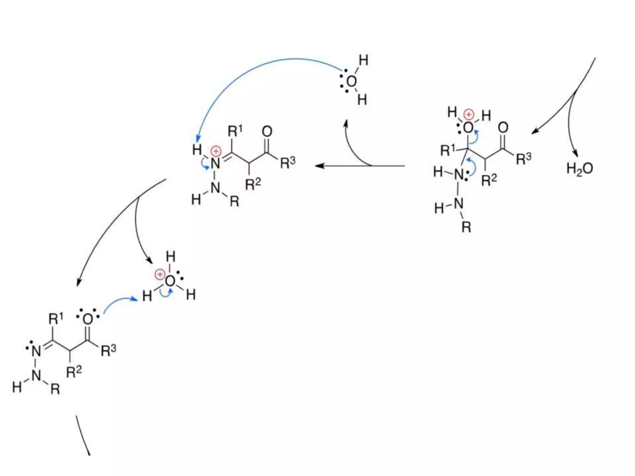 Knorr Pyrazole Synthesis (M. Pharm) | PPTX
