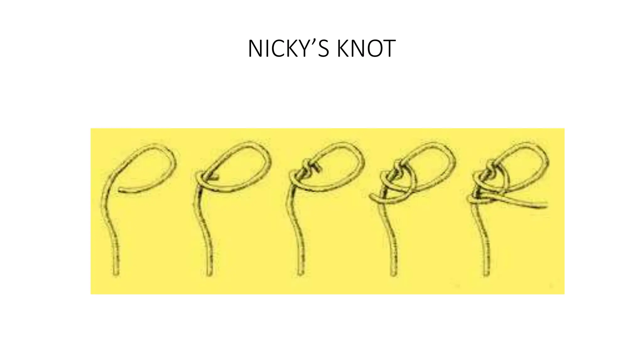 Knotting Techniques.pptx