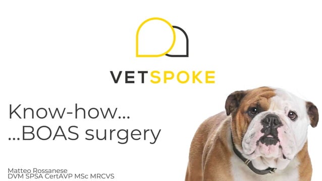 Know how to Brachycephalic Obstructive Airway Syndrome (BOAS ...