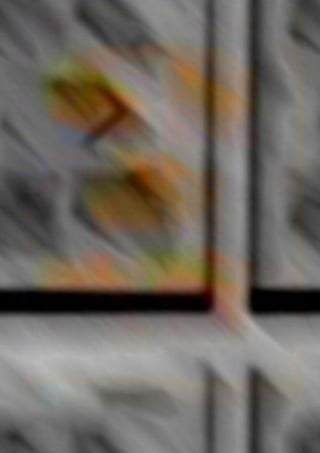 Know Your Prophet (ﷺ) | PDF | Islam | Religion & Spirituality