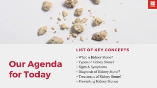 All You Need to Know About kidney Stone - by RG Stone Hospital | PDF