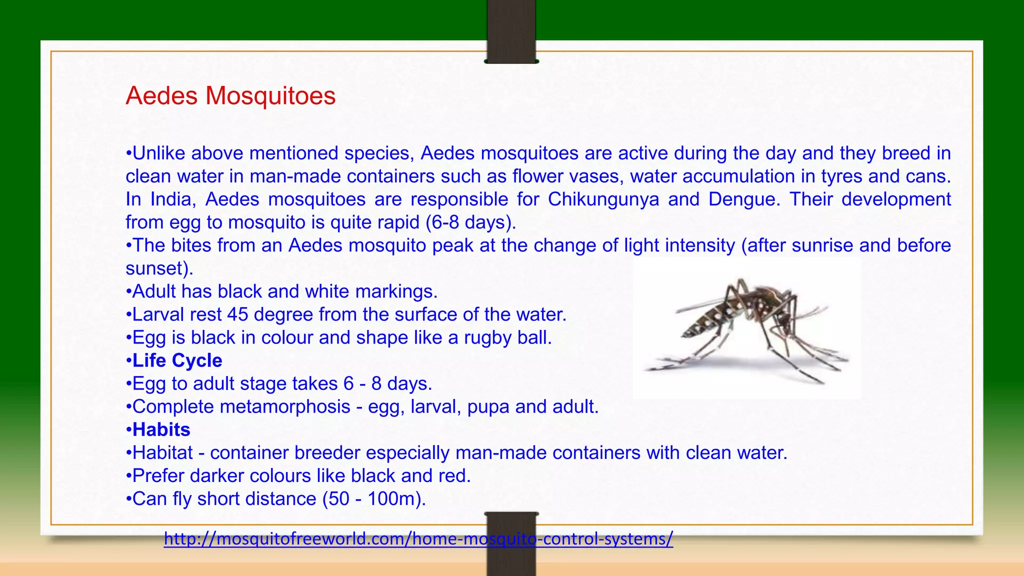 Know about mosquito | PPTX | Infectious Diseases | Diseases and Conditions