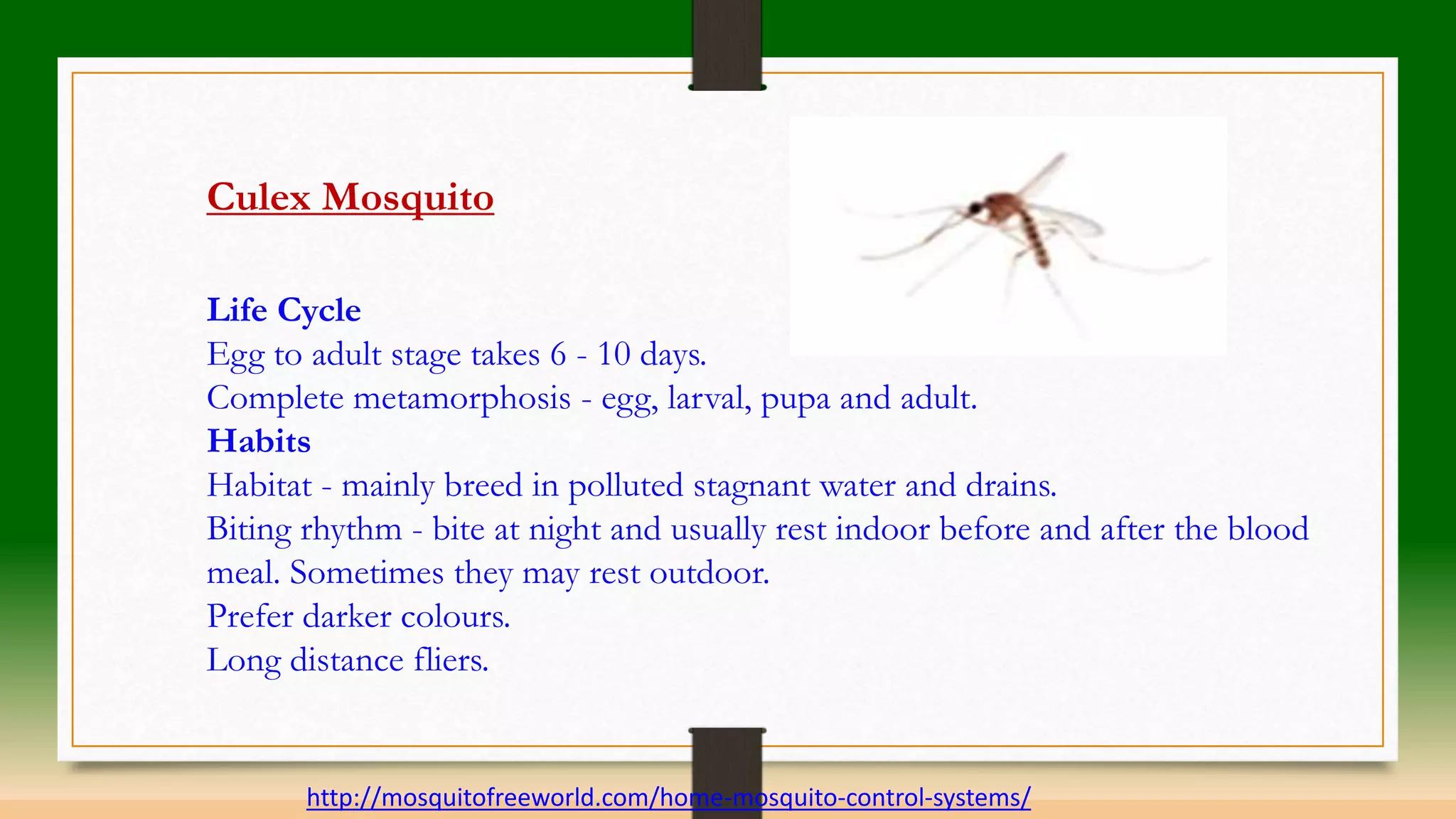 Know about mosquito | PPTX | Infectious Diseases | Diseases and Conditions