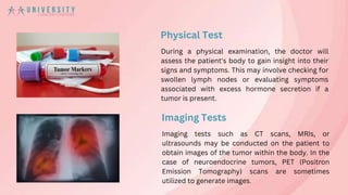 Know About Neuroendocrine Tumor - University Cancer Centers | PPT