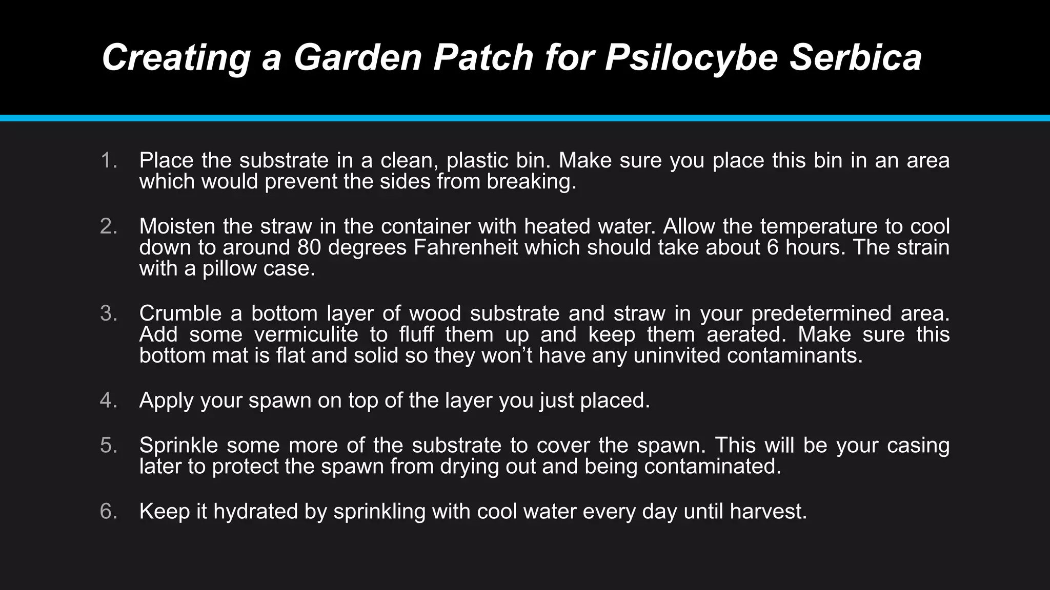 Know About Psilocybe Serbica | PPTX