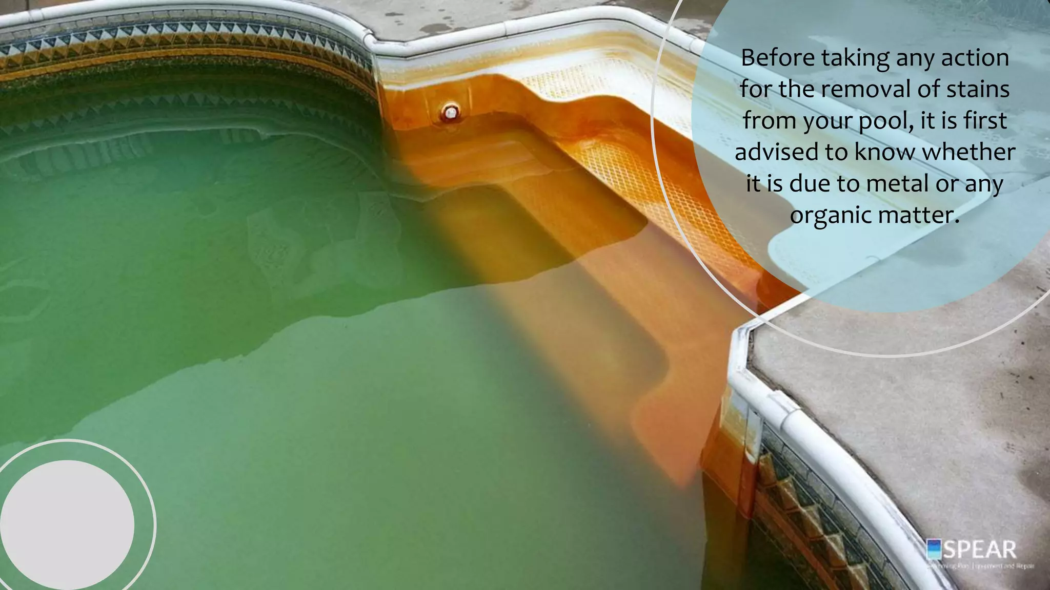 Know all about the Types of Stain in your Pool | PPTX