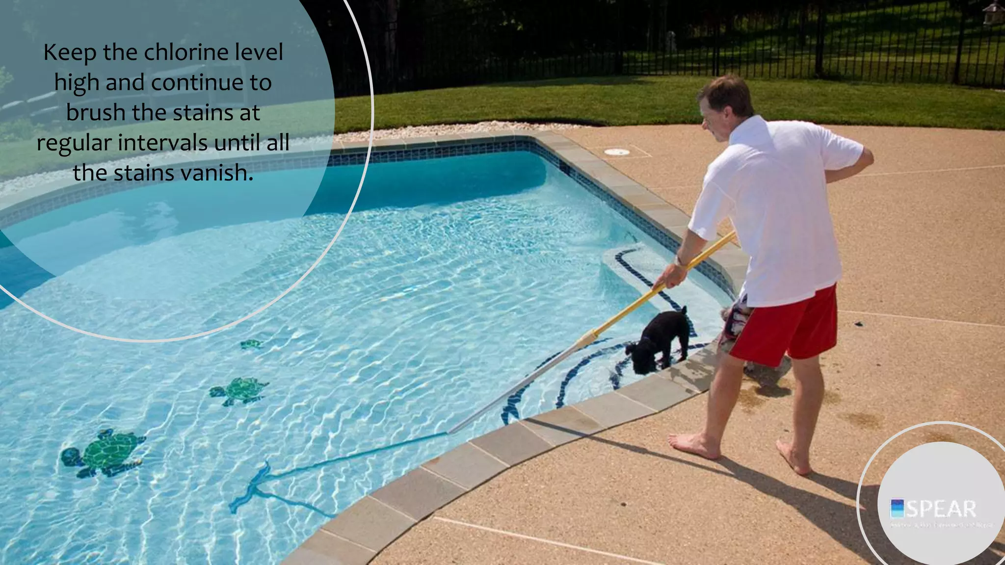 Know all about the Types of Stain in your Pool | PPTX