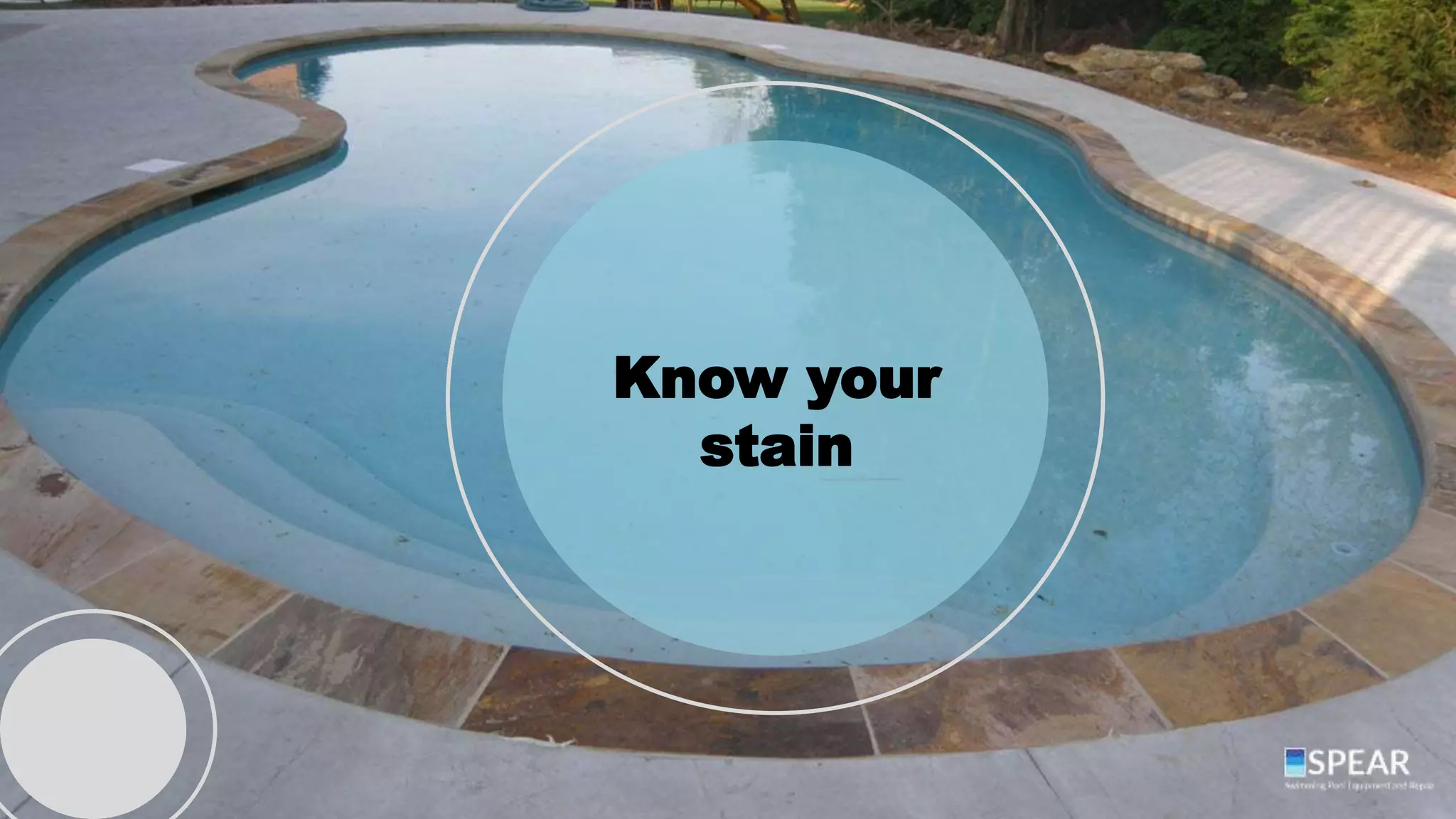 Know all about the Types of Stain in your Pool | PPTX