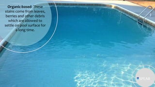 Know all about the Types of Stain in your Pool | PPTX