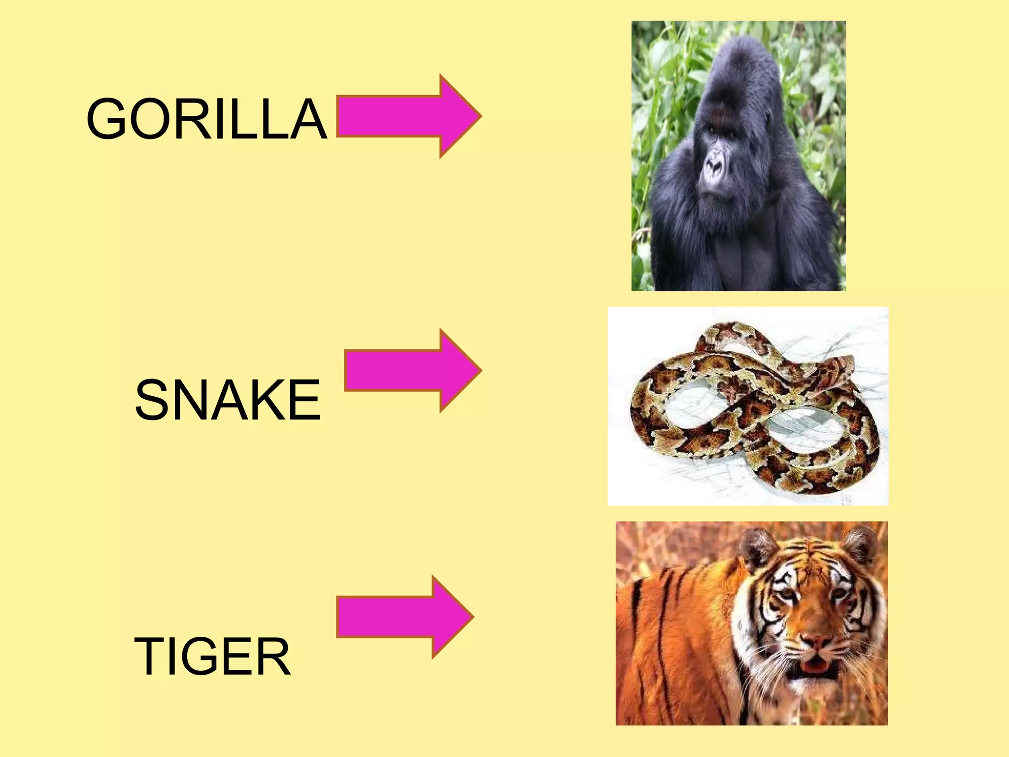 Know domestic and wild animals | PPT