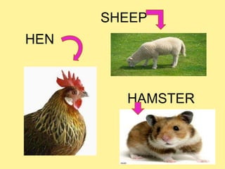 Know domestic and wild animals | PPT