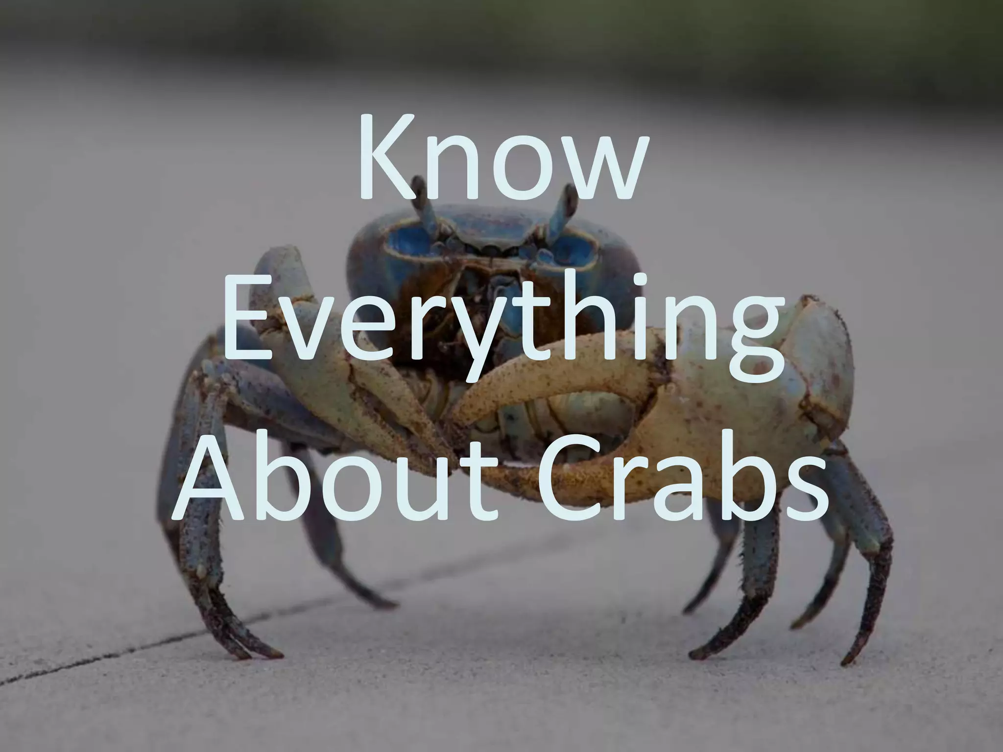 Know Everything About Crabs | PPSX