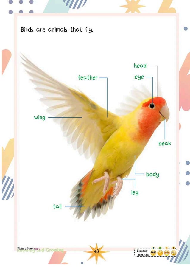 Interactive English Workbook for LKG – Knowing and Growing | PDF