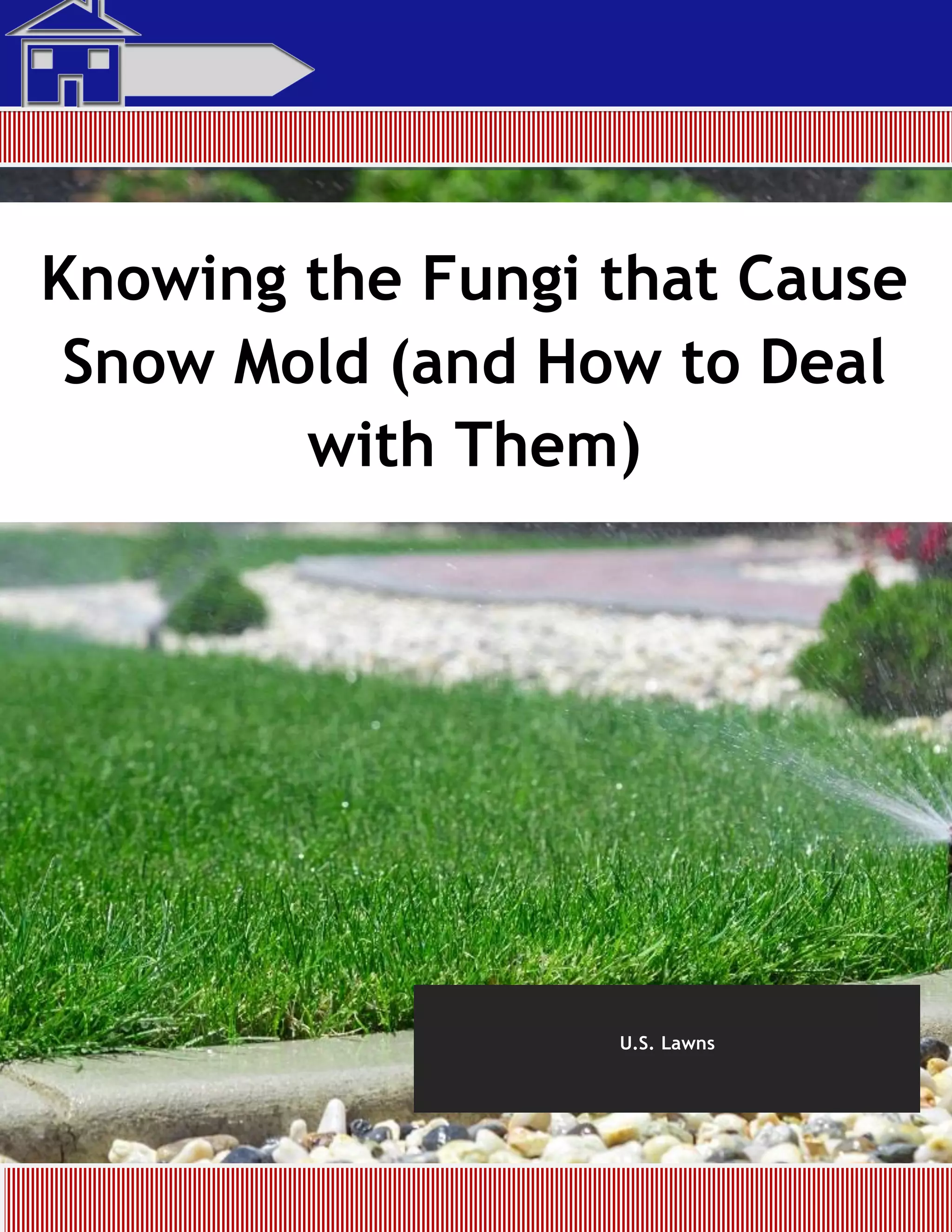 Knowing the fungi that cause snow mold (and how to deal with them ...