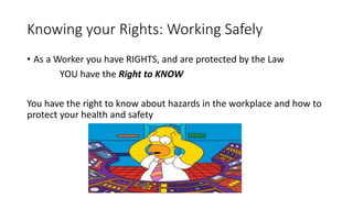 Knowing your rights on the job powerpoint | PPTX